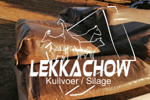 Home - Cor Kuilvoer/Silage & Lekkachow Feeds
